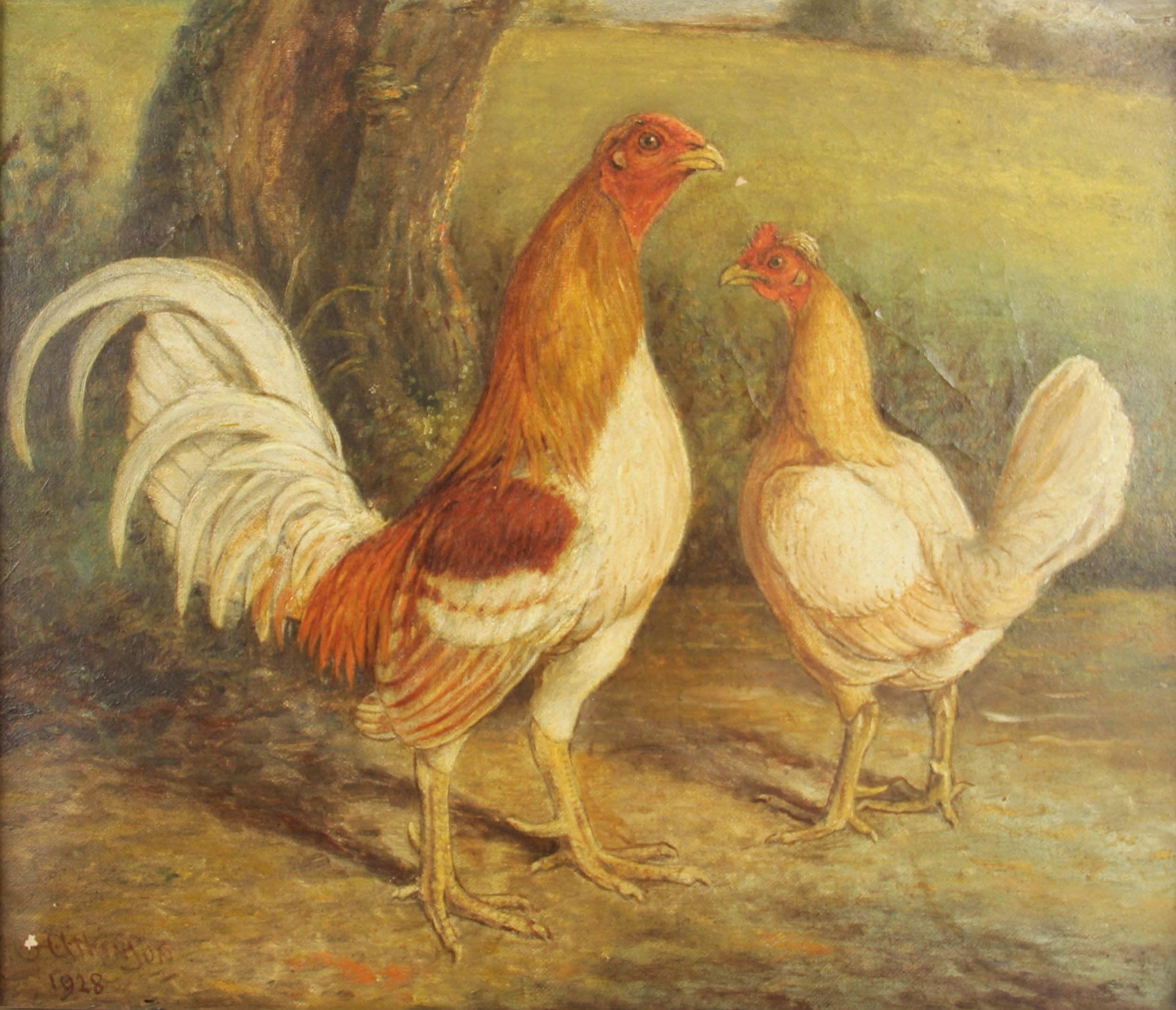 Poultry Rules the Roost: June 2024 | Trevanion