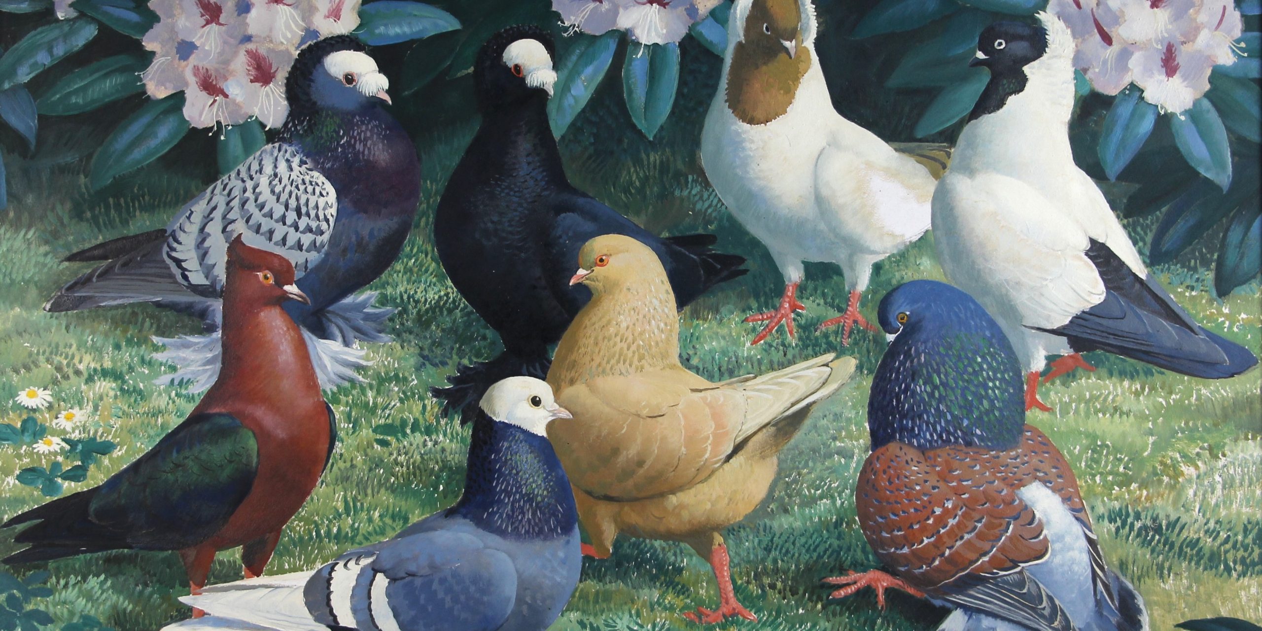 The September Fine Art & Antiques Auction | Trevanion Auctioneers & Valuers