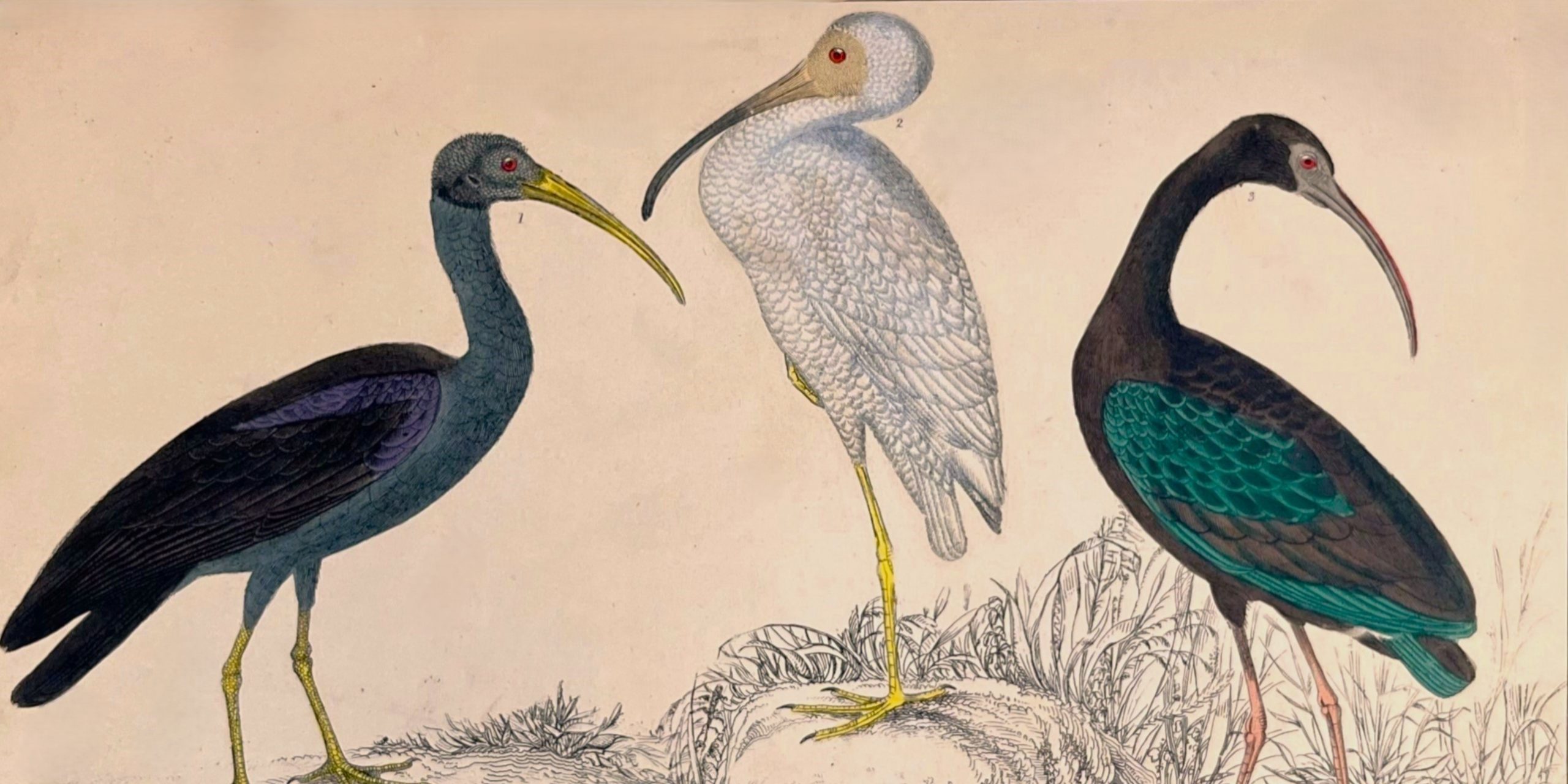 The February Fine Art & Antiques Auction 2025 | Trevanion Auctioneers ...